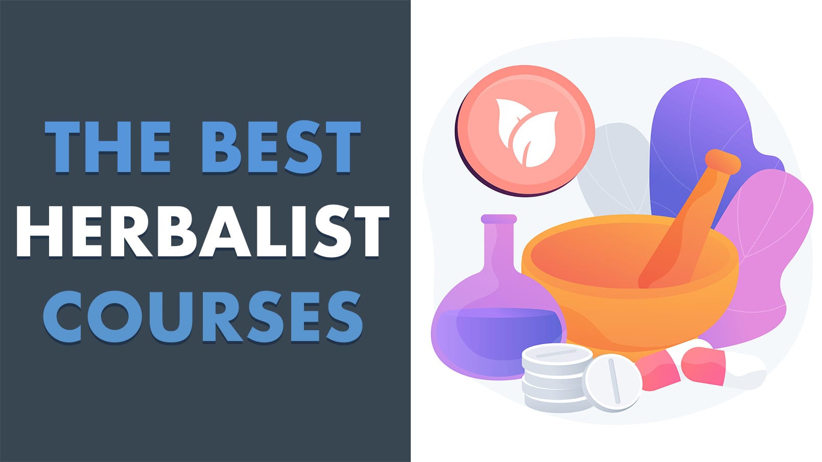 6 Best Herbalist Courses Classes And Certificates Venture Lessons